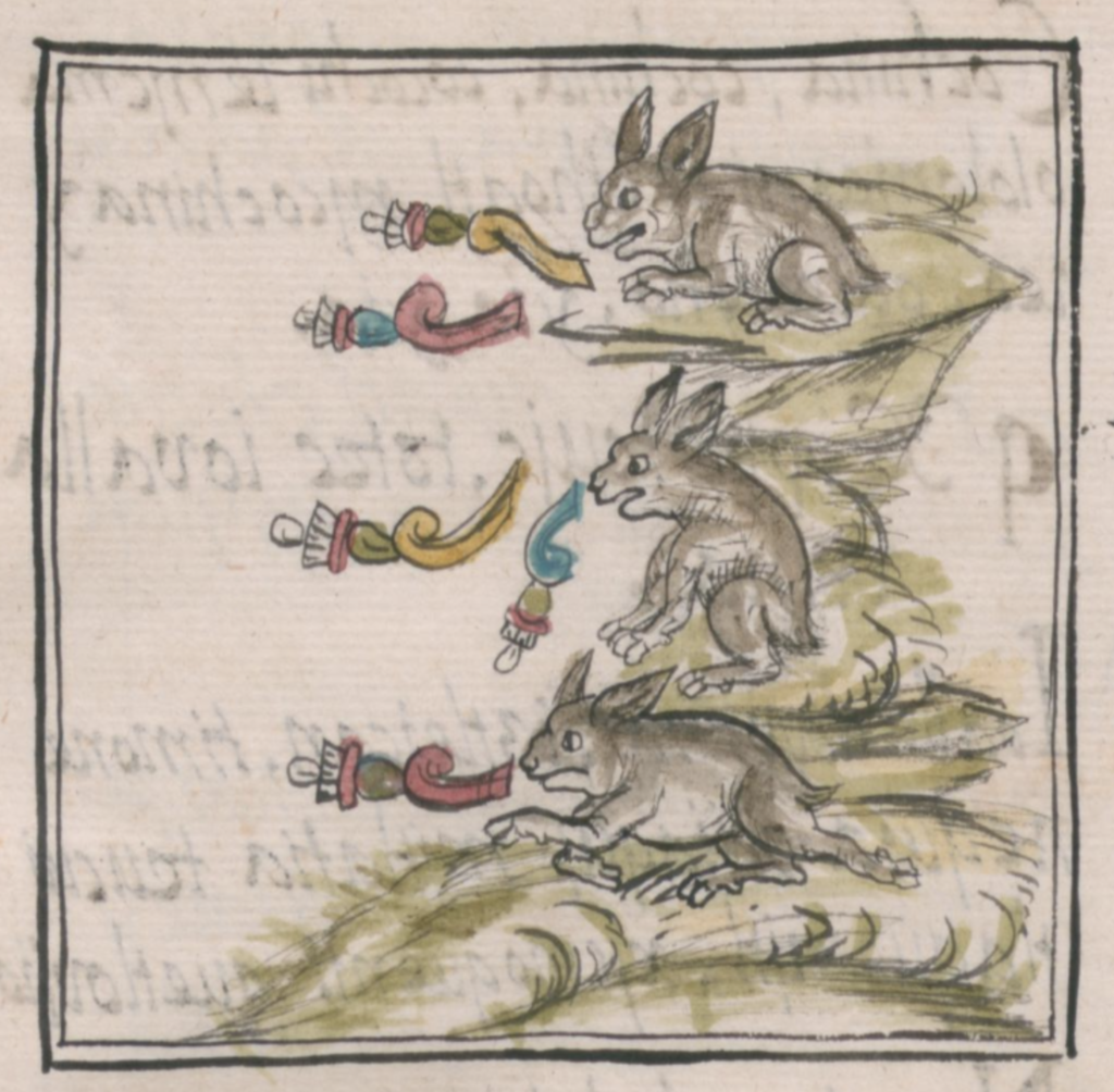 Pulque and the four hundred divine yet helplessly drunken rabbits – Pre ...
